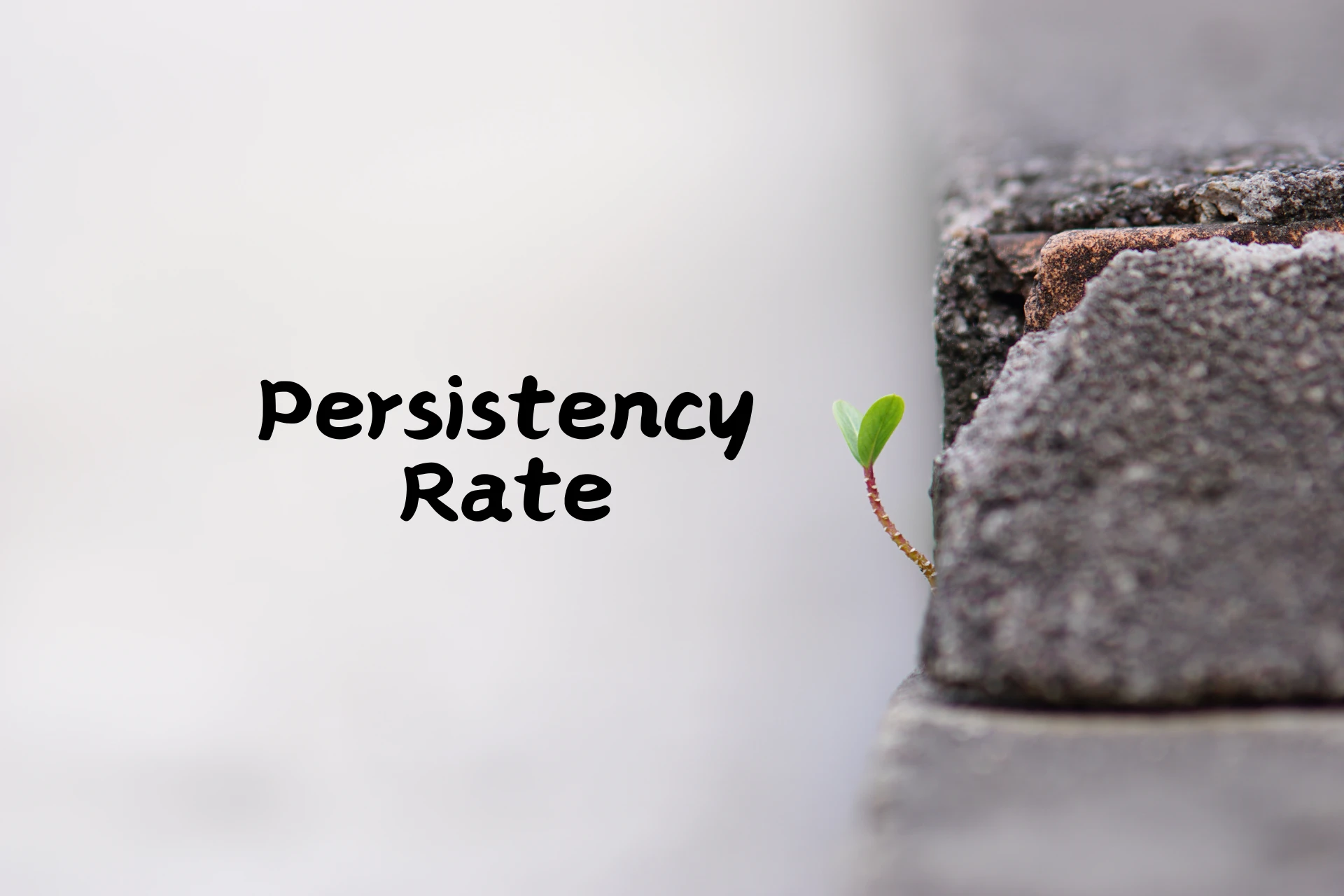 Persistency Rate of Life Insurers | Honvest